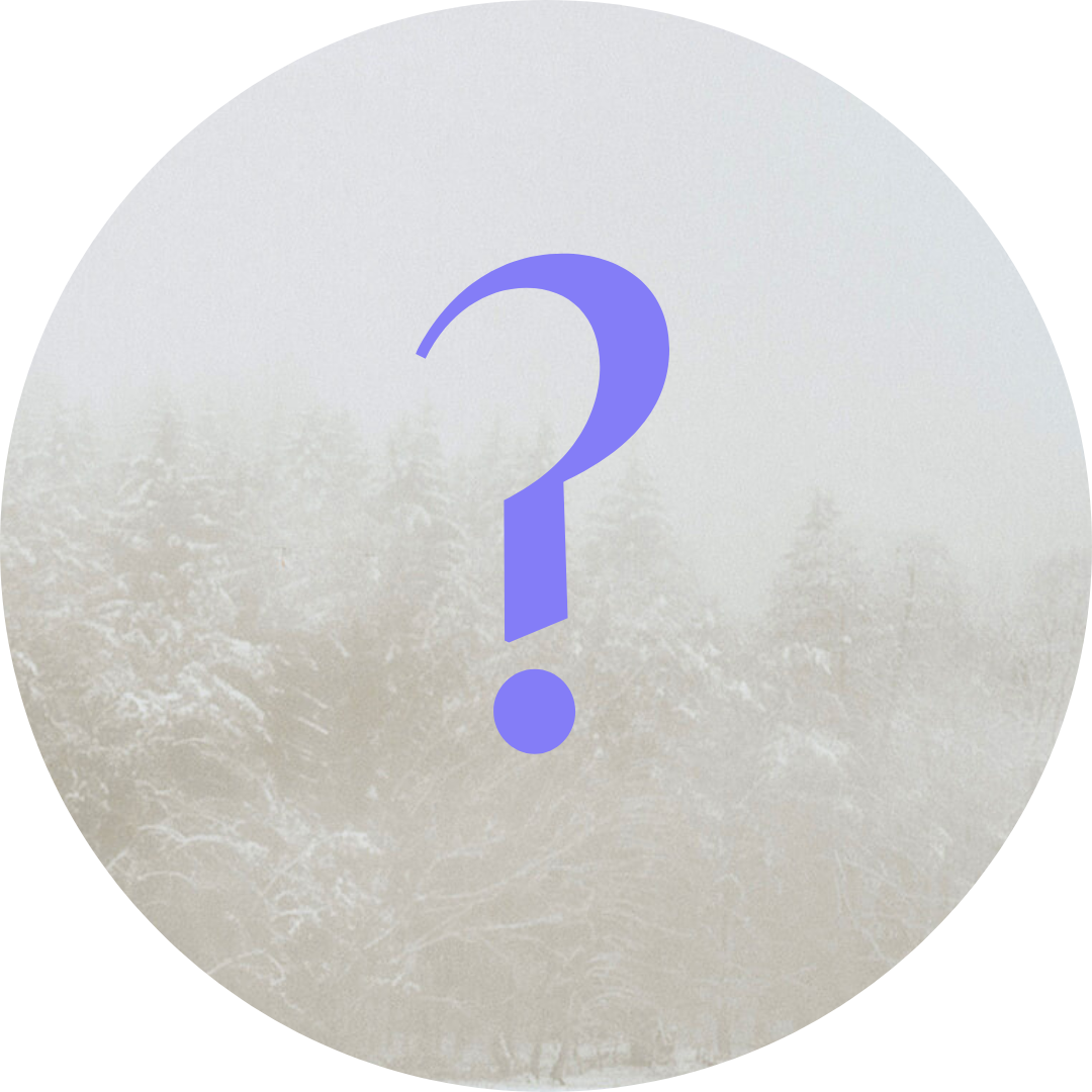 Winter – Online Workshop